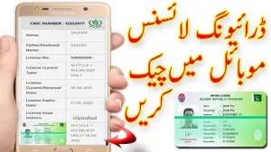 Driving License Verification and Tracking 2023 DLIMS Punjab